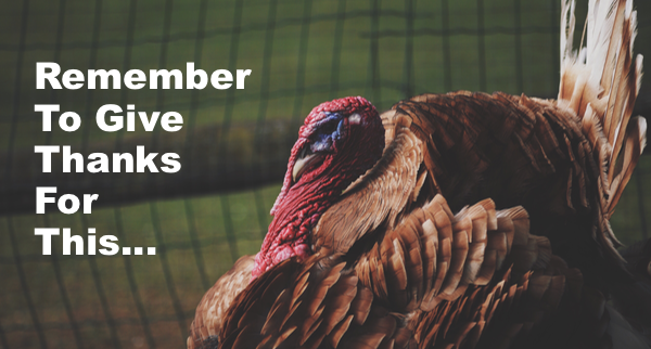 November 22, 2024 - Business Power Tools - Instant Solutions & System ...